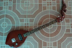 4 Laos Traditional Musical Instruments with Names & Meanings