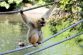 Bokeo Nature Reserve & The Gibbon Experience - Laos Tours