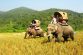 Best Time to Visit Laos | Laos Tours