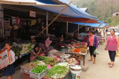 Cycling Tour in Pakbeng - Half Day - Laos Tours