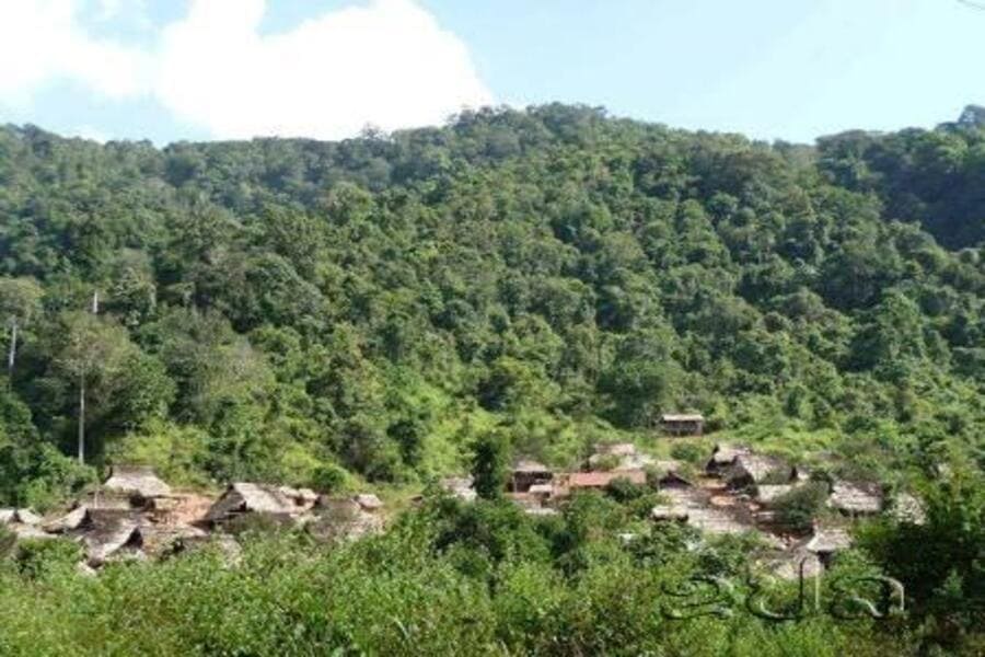 Nam Ha National Biodiversity Conservation Area - For Jungle Treks And ...