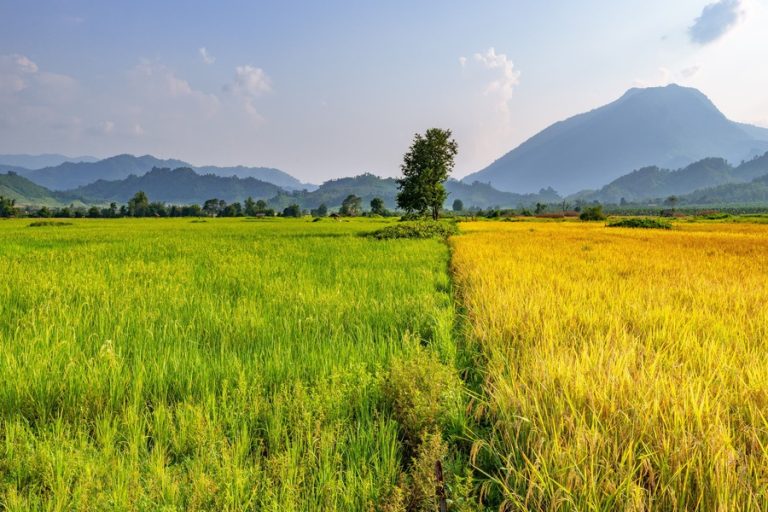 Laos Travel Advisory - Essential Safety Tips for Your Laos Adventure ...